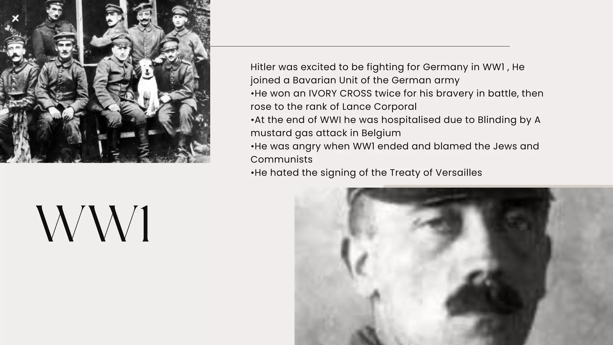 The rise and reign of Adolf Hitler .pptx
