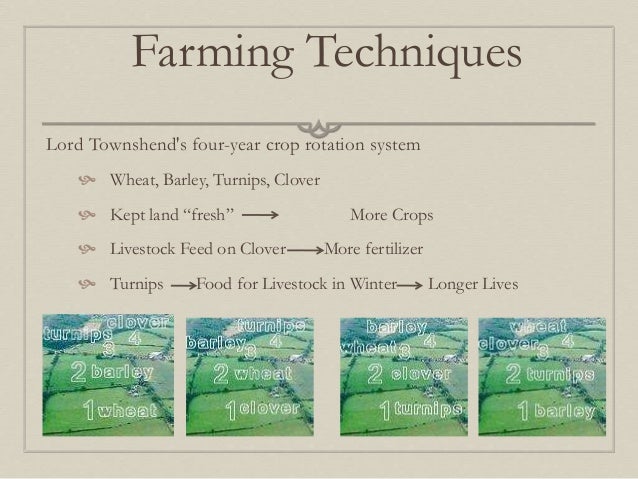 Causes of the Industrial Revolution: The Agricultural Revolution ...