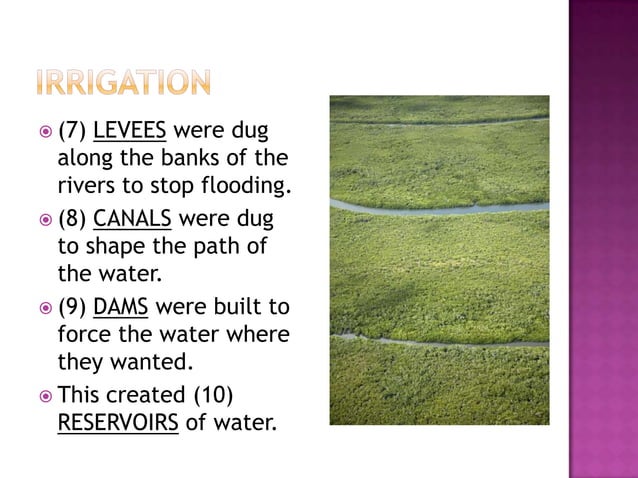 Rise of Sumer | PPTX