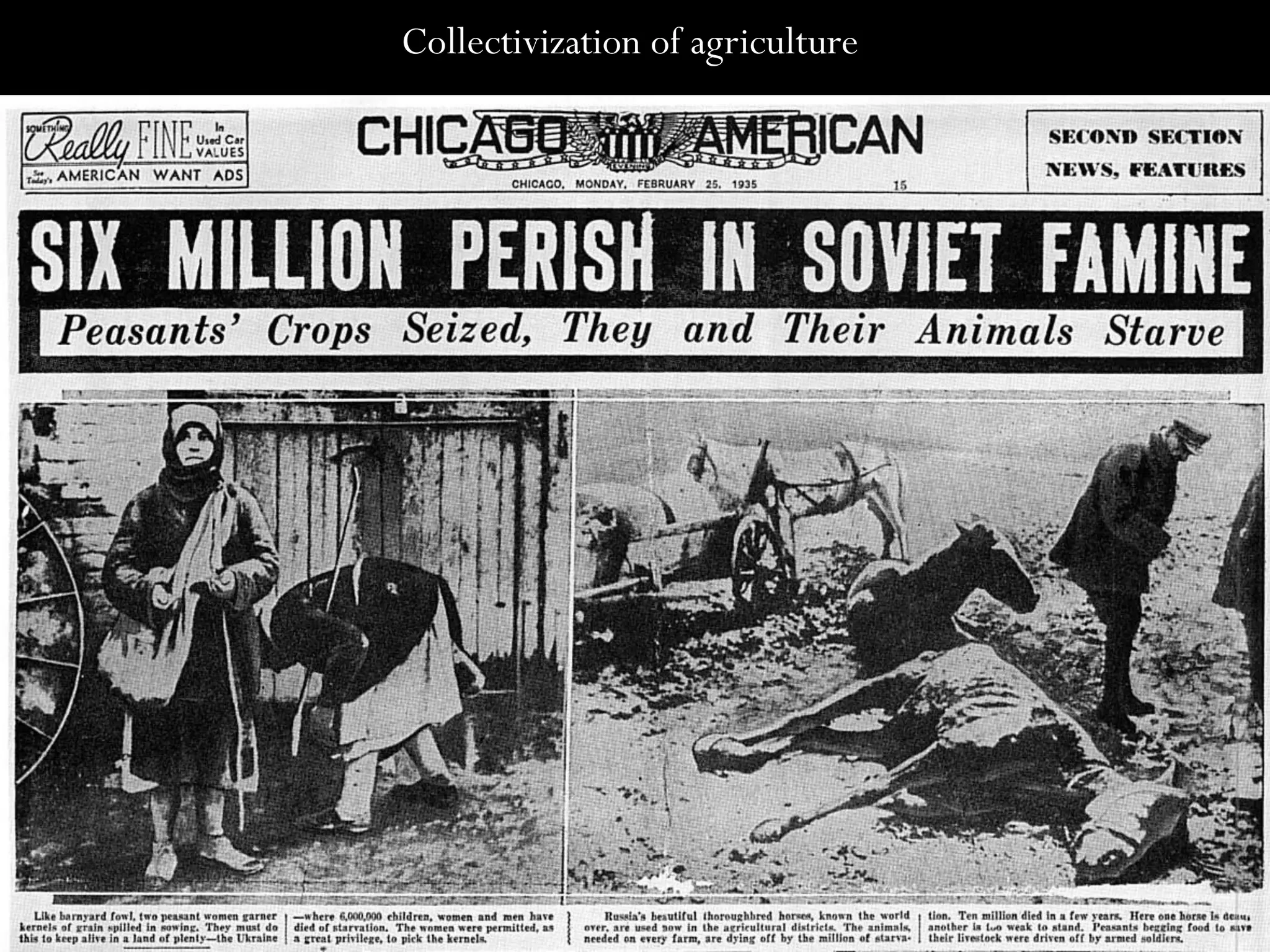 The Rise of Totalitarianism.pdf