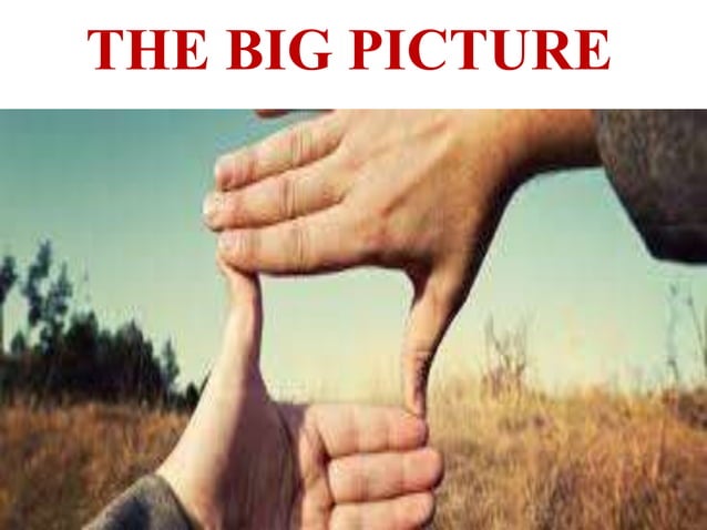 CASE STUDY : The Ritz -Carlton | PPT