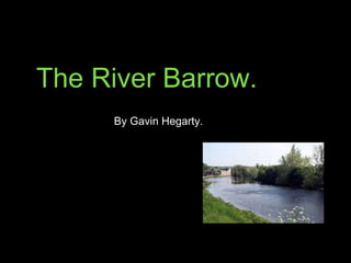 The River Barrow by Gavin | PPT