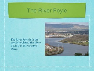 The River Foyle by Alanna | PPTX