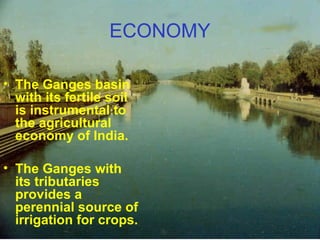 The river ganges | PPT