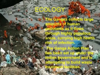 The river ganges | PPT