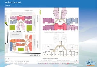 The river vasind | PPT