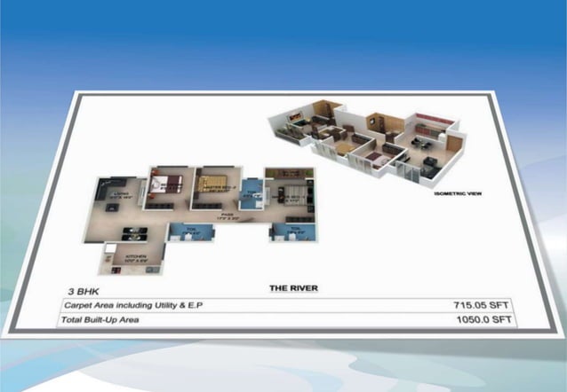 The river vasind | PPTX