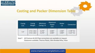 Thermal Packers System | single-string and double-grip retrievable ...