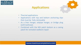 Thermal Packers System | single-string and double-grip retrievable ...