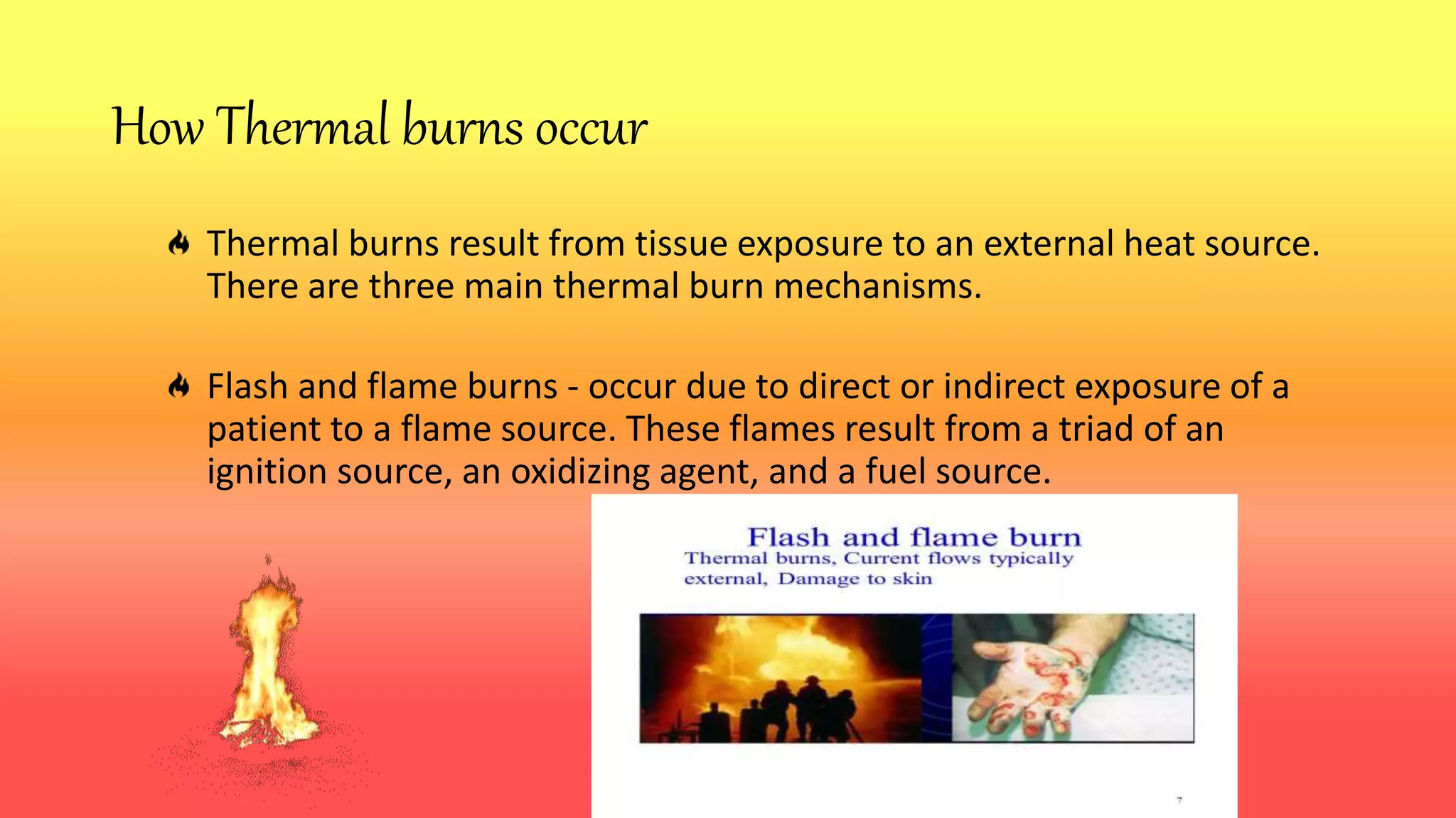 Thermal burns with anatomy of skin. | PPTX