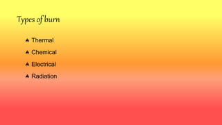 Thermal burns with anatomy of skin. | PPTX