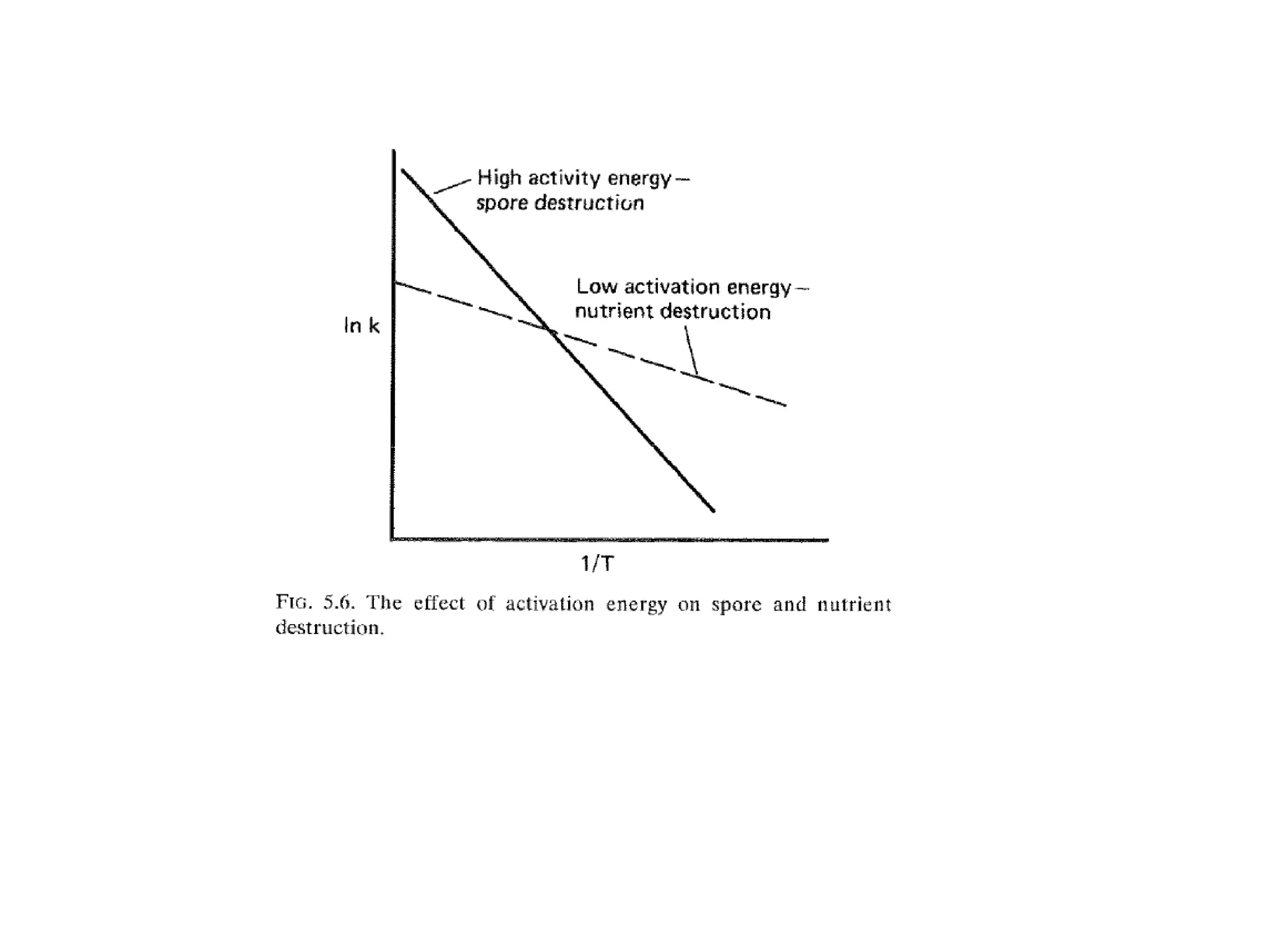 Thermal Death Kinetics and various Isotherms | PPTX