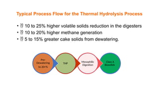 Thermal Hydrolysis - High Temperature and Pressure Cell (1).pptx