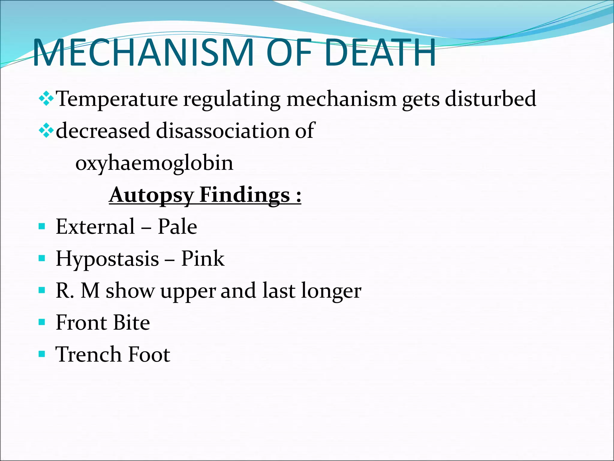 thermal injuries.pptx