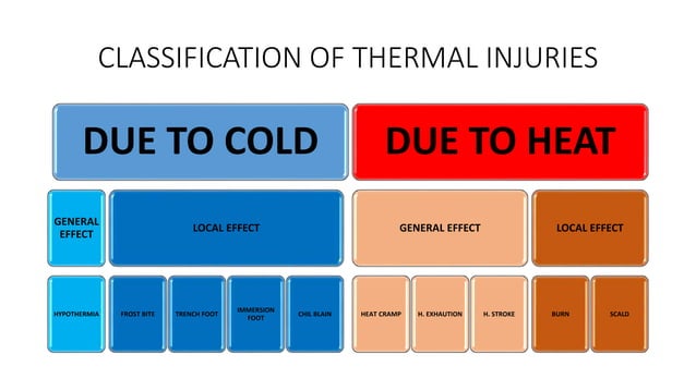 THERMAL INJURIES.pptx | Injuries | Diseases and Conditions