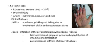 THERMAL INJURIES.pptx