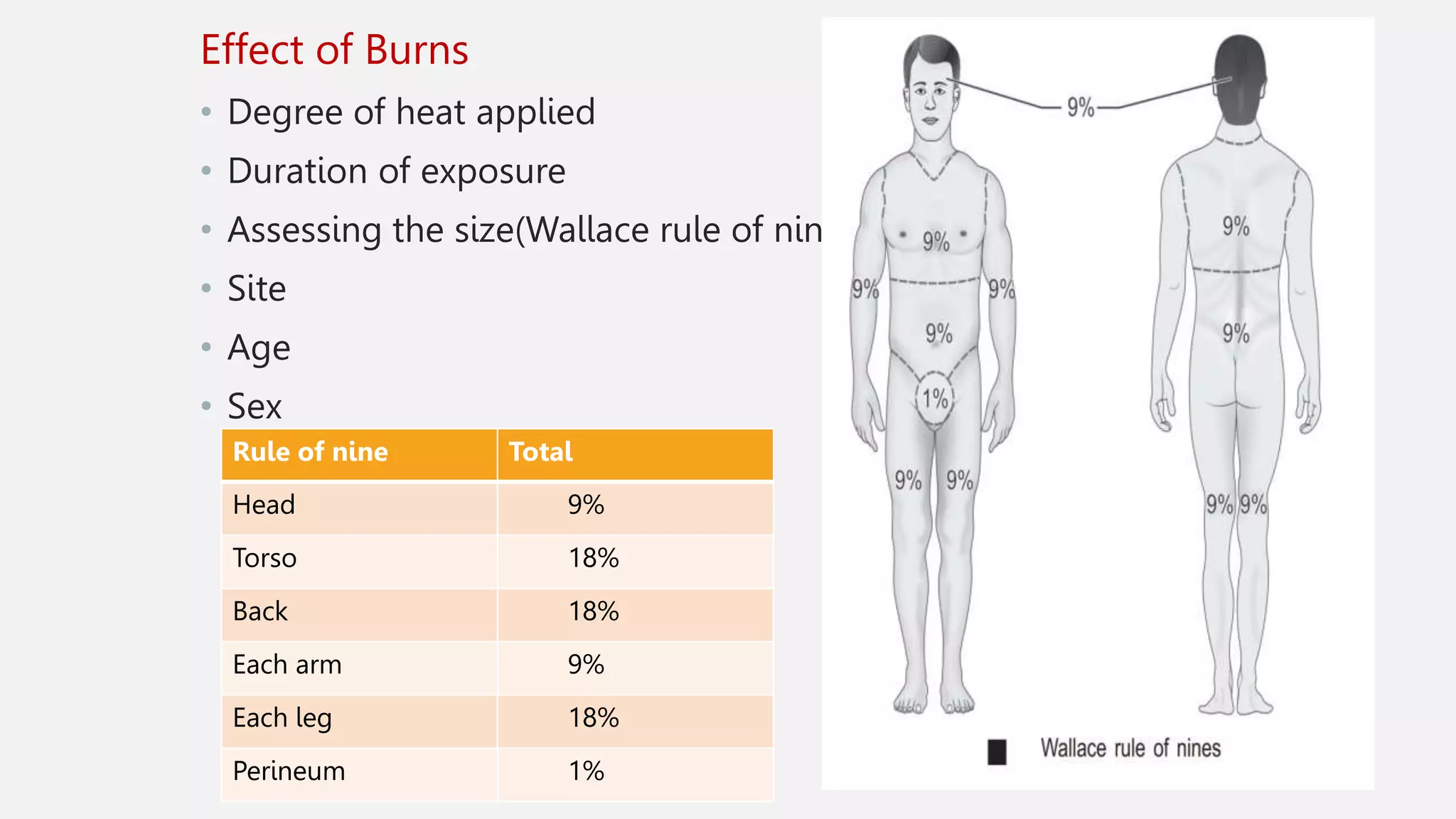 Thermal injuries-72.pptx