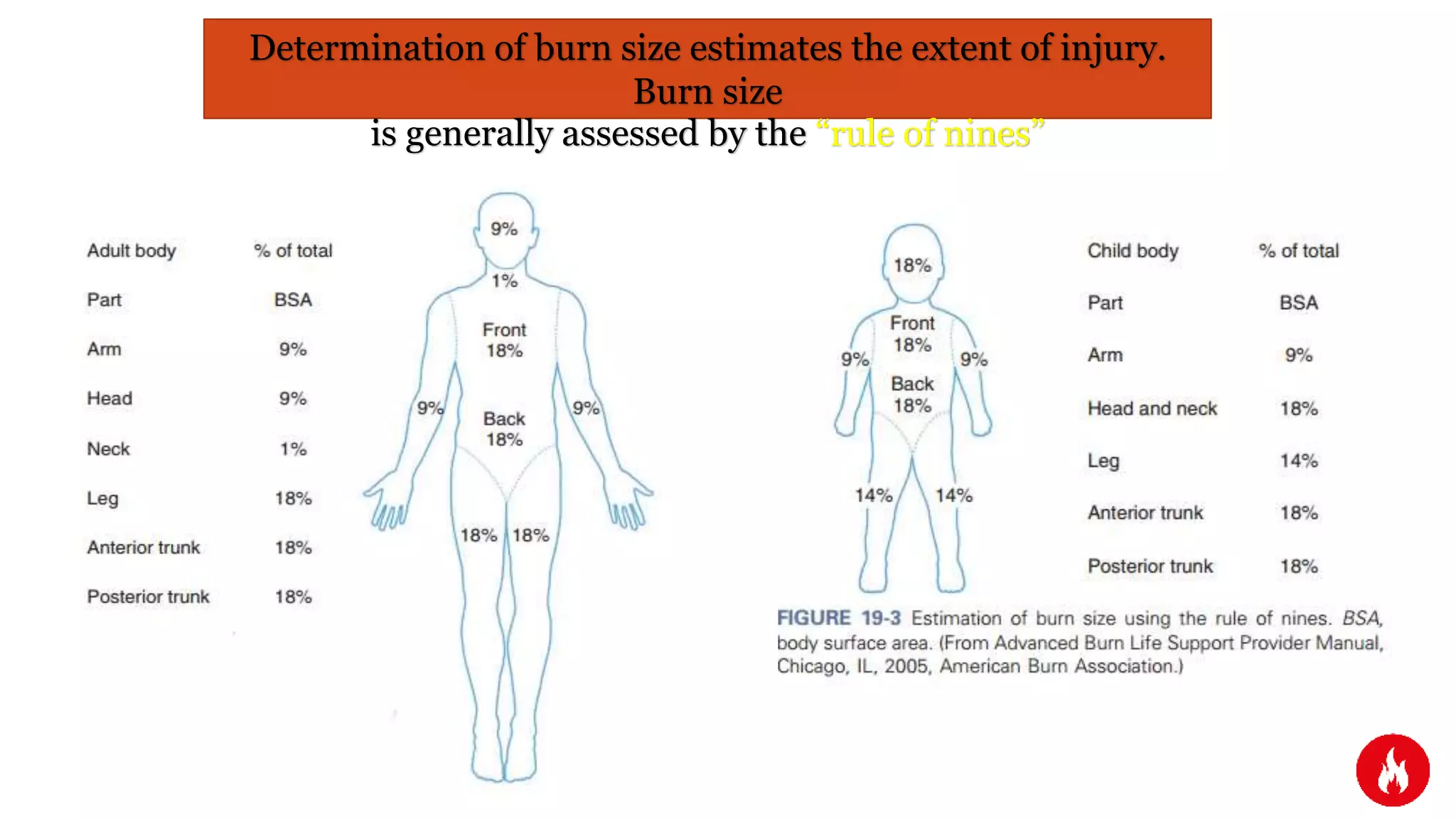 Thermal injuries -plastic surgery | PPTX