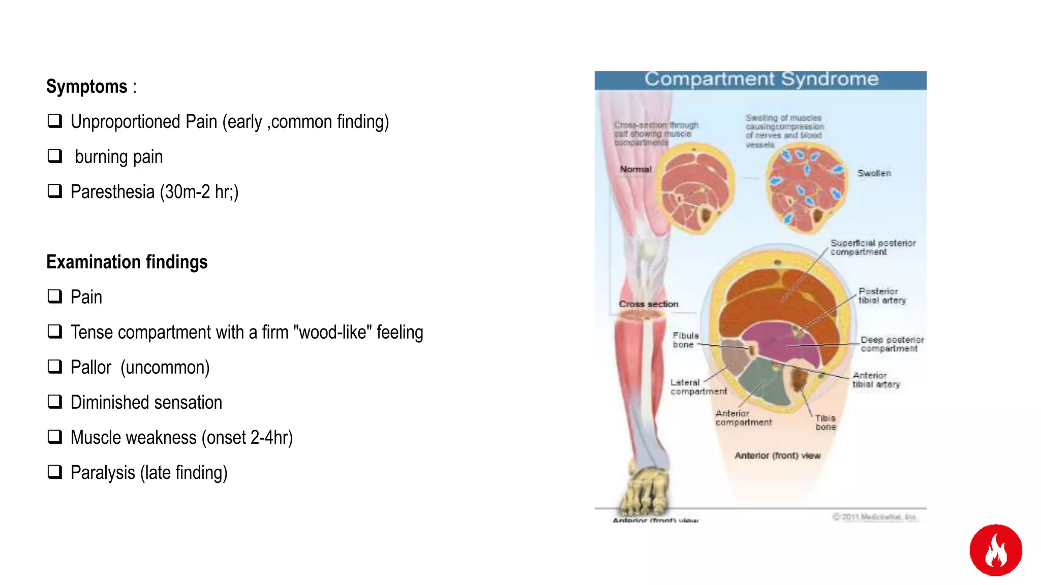Thermal injuries -plastic surgery | PPTX