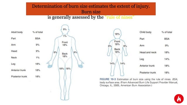 Thermal injuries -plastic surgery | PPT