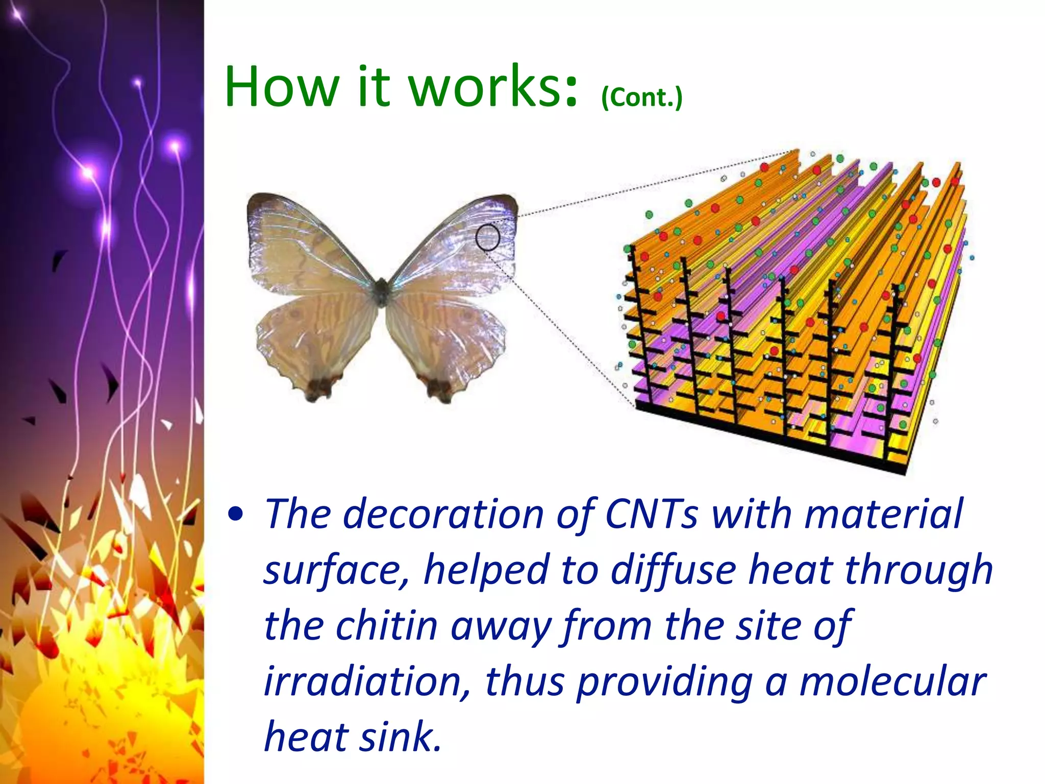 Morpho Butterfly Wings Inspire Thermal Imagers | PPTX