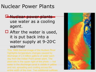 Thermal pollution | PPT