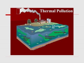 Thermal Pollution