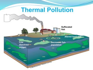 Thermal pollution | PPTX