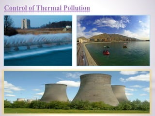 Thermal pollution | PPTX