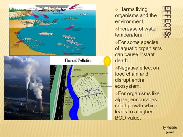 Thermal pollution | PPT