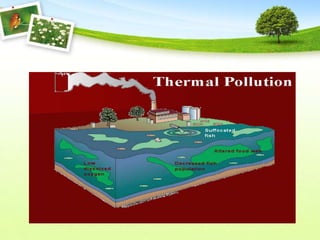Thermal Pollution Diagram