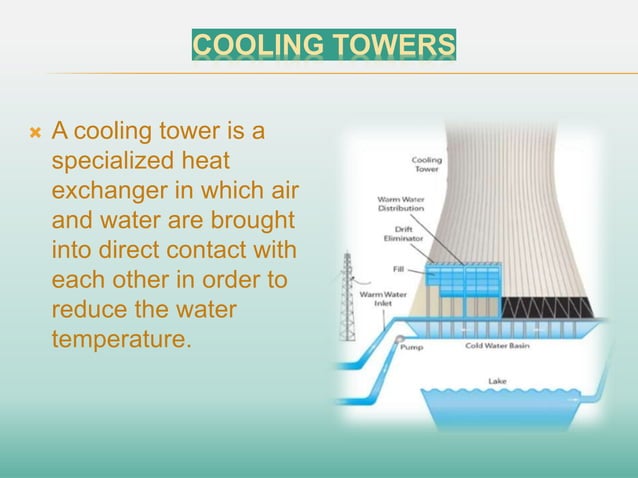 Thermal Pollution.pptx