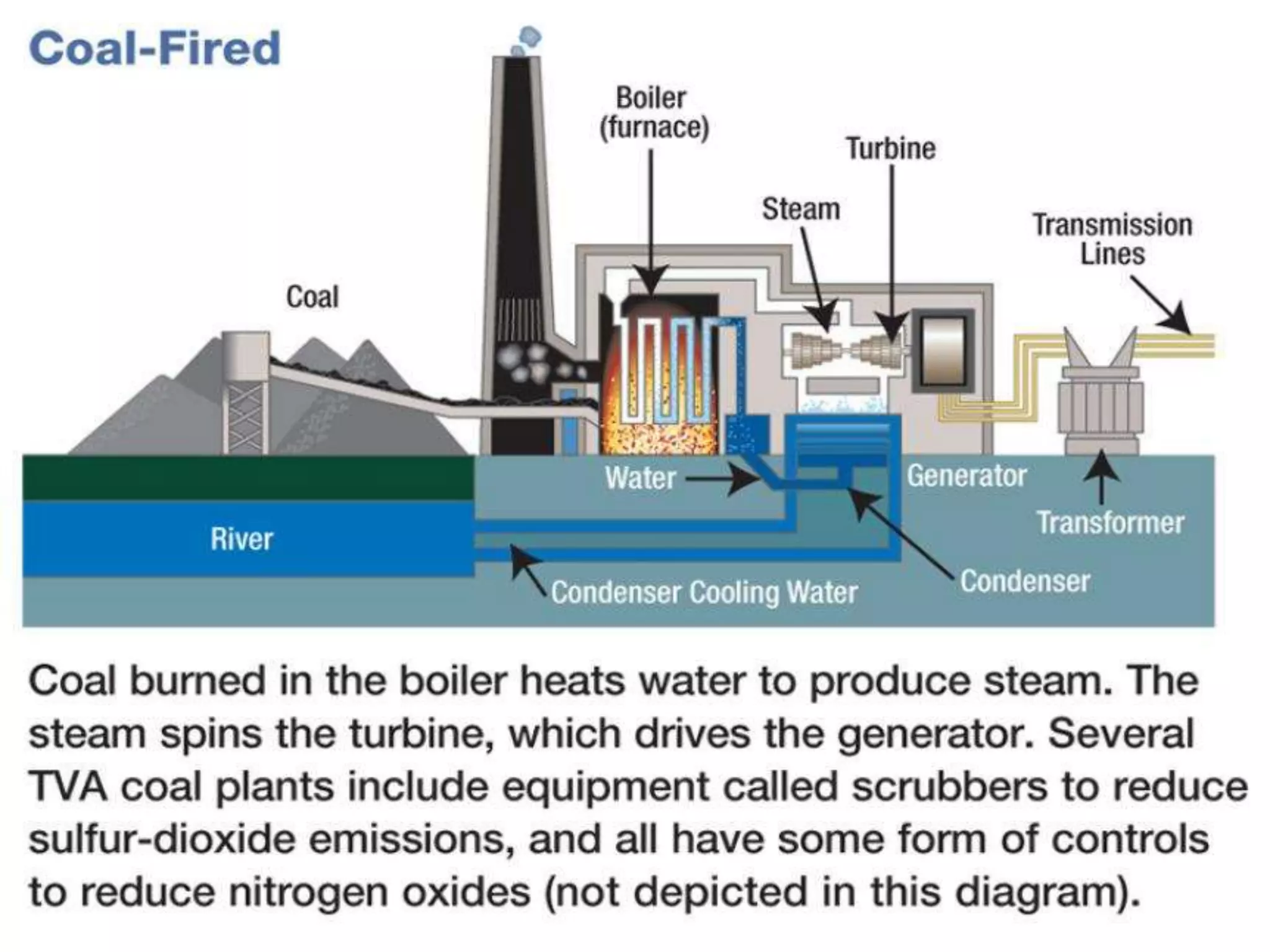 ThermalPollution.pptx