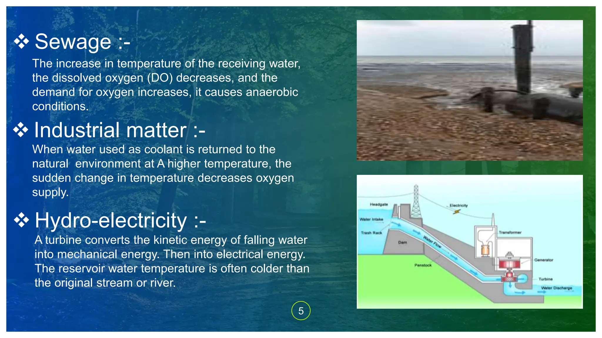 Thermal Pollution.It is caused by the discharge of heated water from ...