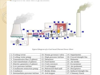 Thermal power plant | PPTX