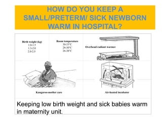 Thermal protection of NEWBORN CHILDRENpptx | PPTX