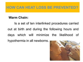 Thermal protection of NEWBORN CHILDRENpptx | PPTX