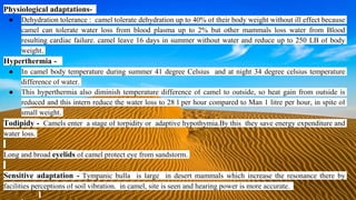 Thermal regulation in camel.pptx