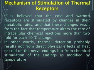 THERMAL SENSATION.pptx ITS A INTERESTION | PPTX | First Aid | Injuries