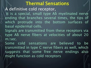THERMAL SENSATION.pptx ITS A INTERESTION | PPTX | First Aid | Injuries
