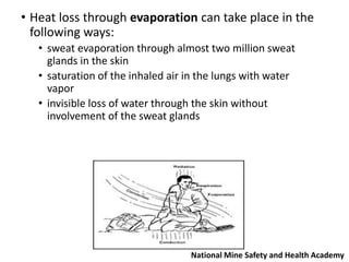 Thermal stress full | PPTX