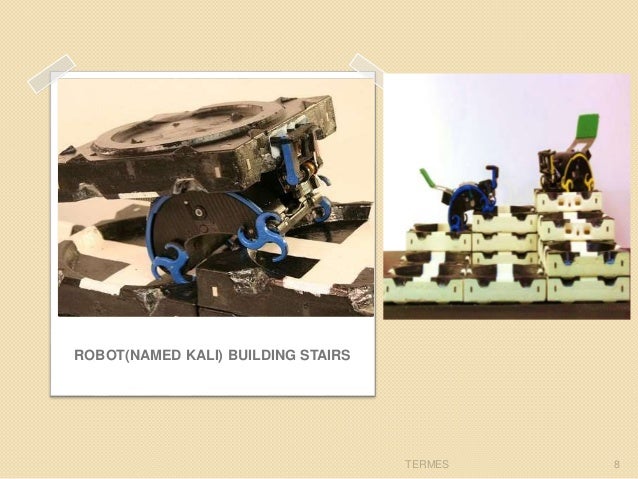 Termes - Termite inspired robots that can build for us.