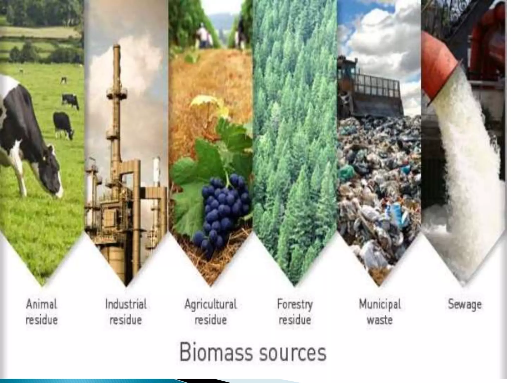 Thermo chemical conversion | PPT