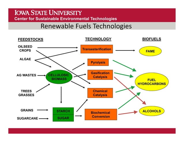 Thermochemical Conversion of Biomass to Fuel.cenusa brown 5-25-12 | PDF