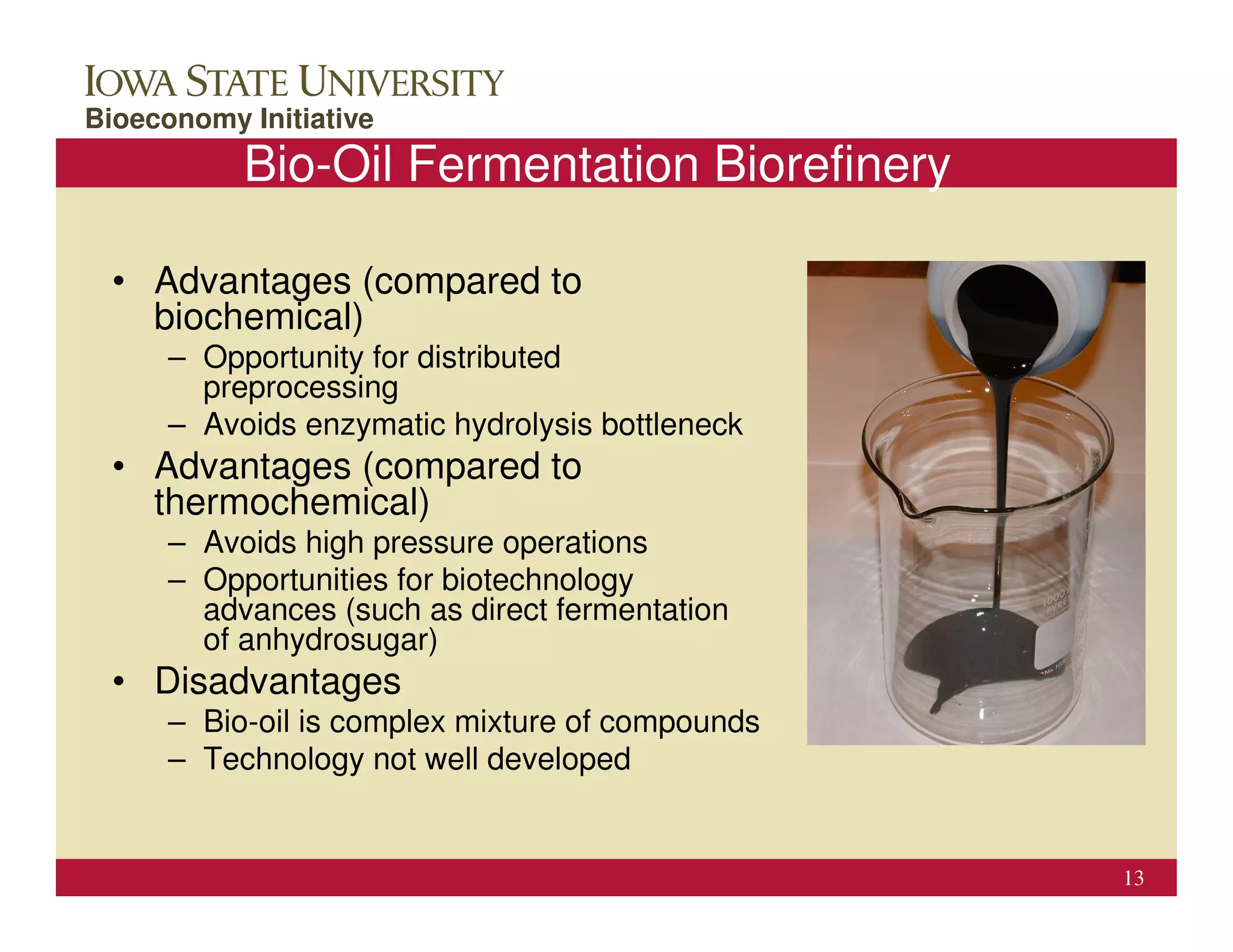 Thermochemical Processing Of Biomass Brown | PDF