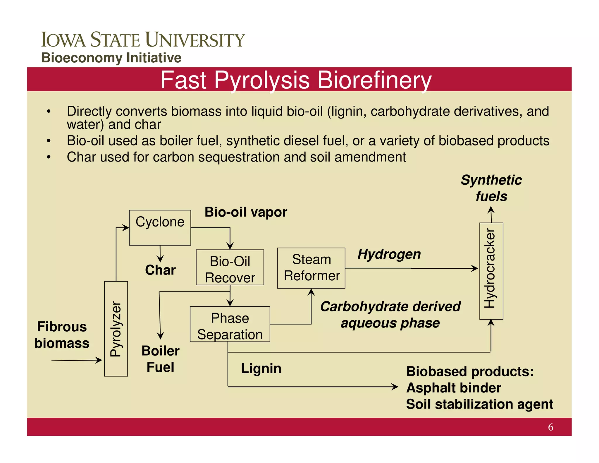 Thermochemical Processing Of Biomass Brown | PDF