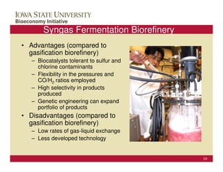 Thermochemical Processing Of Biomass Brown | PDF