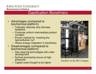 Thermochemical Processing Of Biomass Brown | PDF