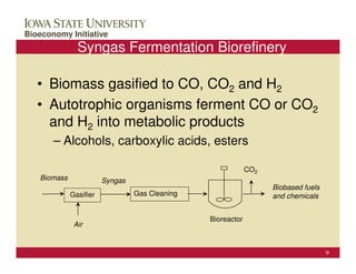 Thermochemical Processing Of Biomass Brown | PDF