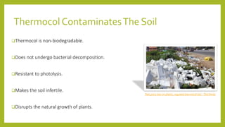 Thermocol A Threat To The Environment.pptx